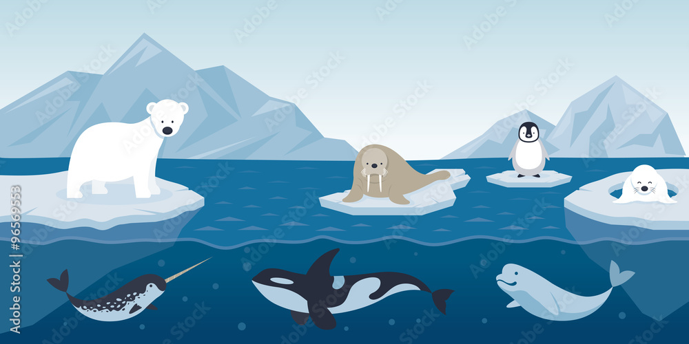 Arctic Animals Character and Background, Winter, Nature Travel and ...