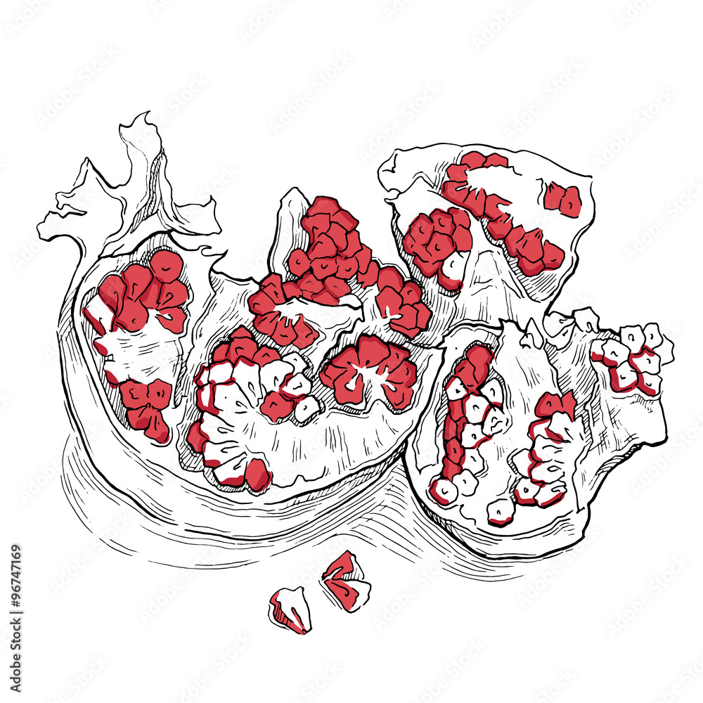 Sketch of garnet. Vector illustration. Stock Vector | Adobe Stock