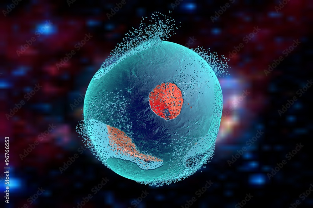 Cell lysis. Destruction of a cell. Can be used to illustrate effect of ...