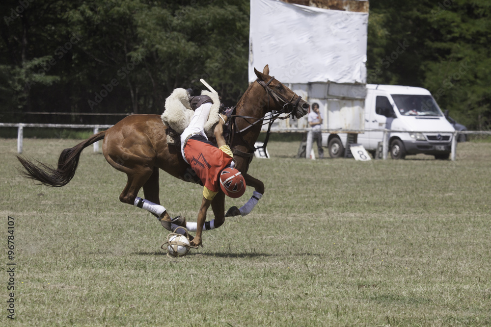 pato deporte de caballos Stock Photo | Adobe Stock