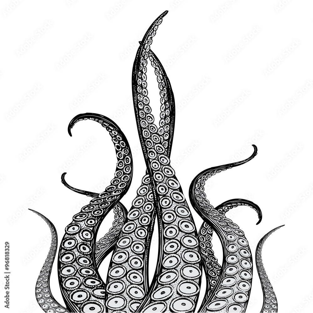 Hand Drawn Tentacles Stock Vector | Adobe Stock