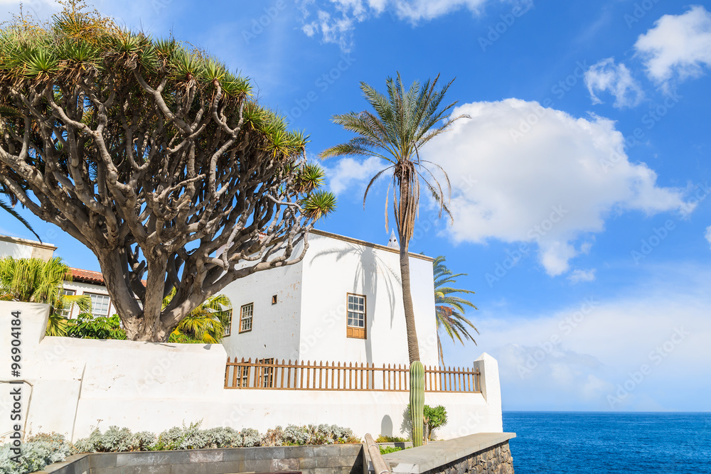 Typical Canarian white house on cliff edge with ocean in background and ...