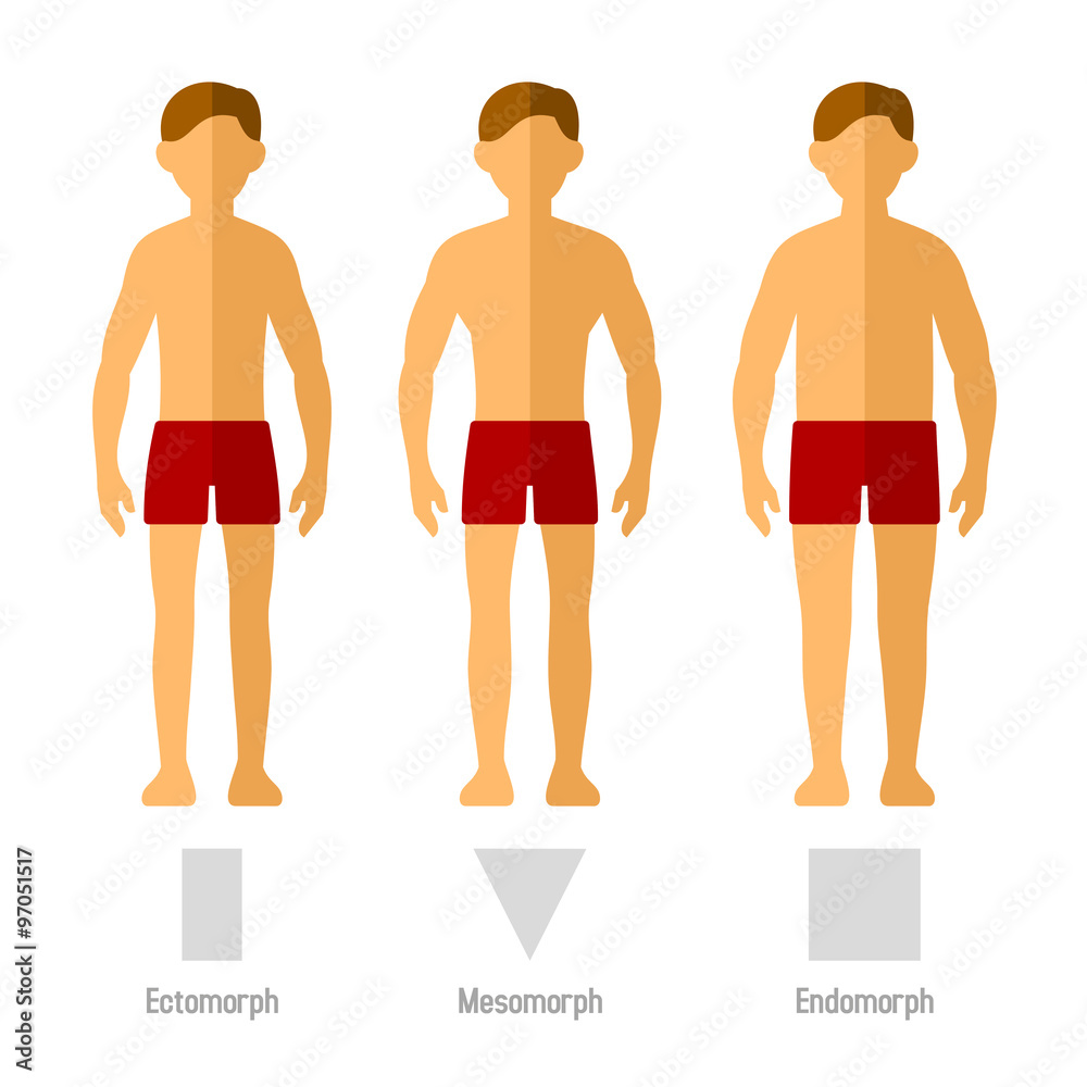 Men Body Types Stock Vector | Adobe Stock
