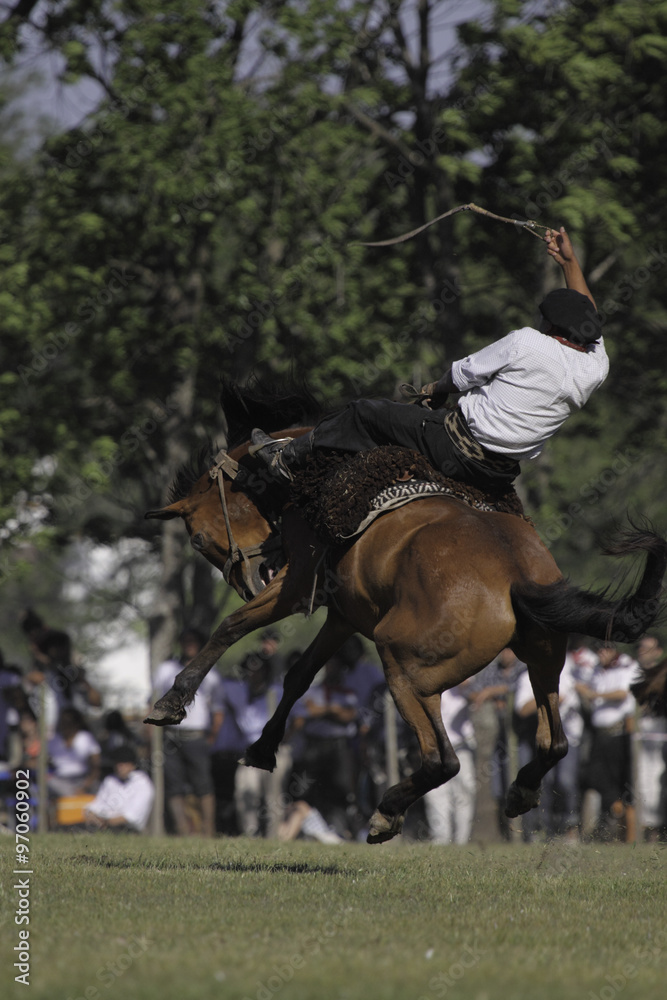 Doma de caballos foto de Stock | Adobe Stock