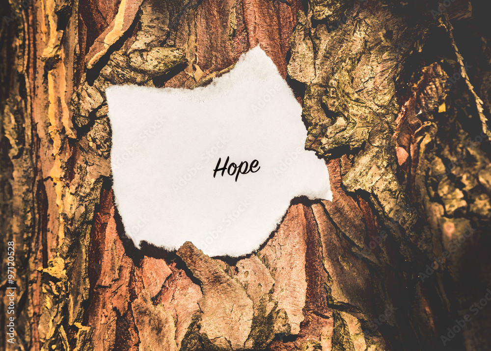 "hope" text in a pine tree in vintage colors. Stock Photo | Adobe Stock