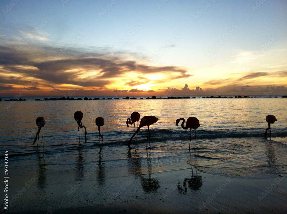 Flamingos on the Beach/ Flamingos standing close to the sea on a beach ...