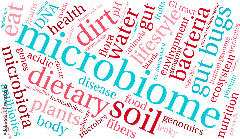 Microbiome Word Cloud Stock Vector | Adobe Stock