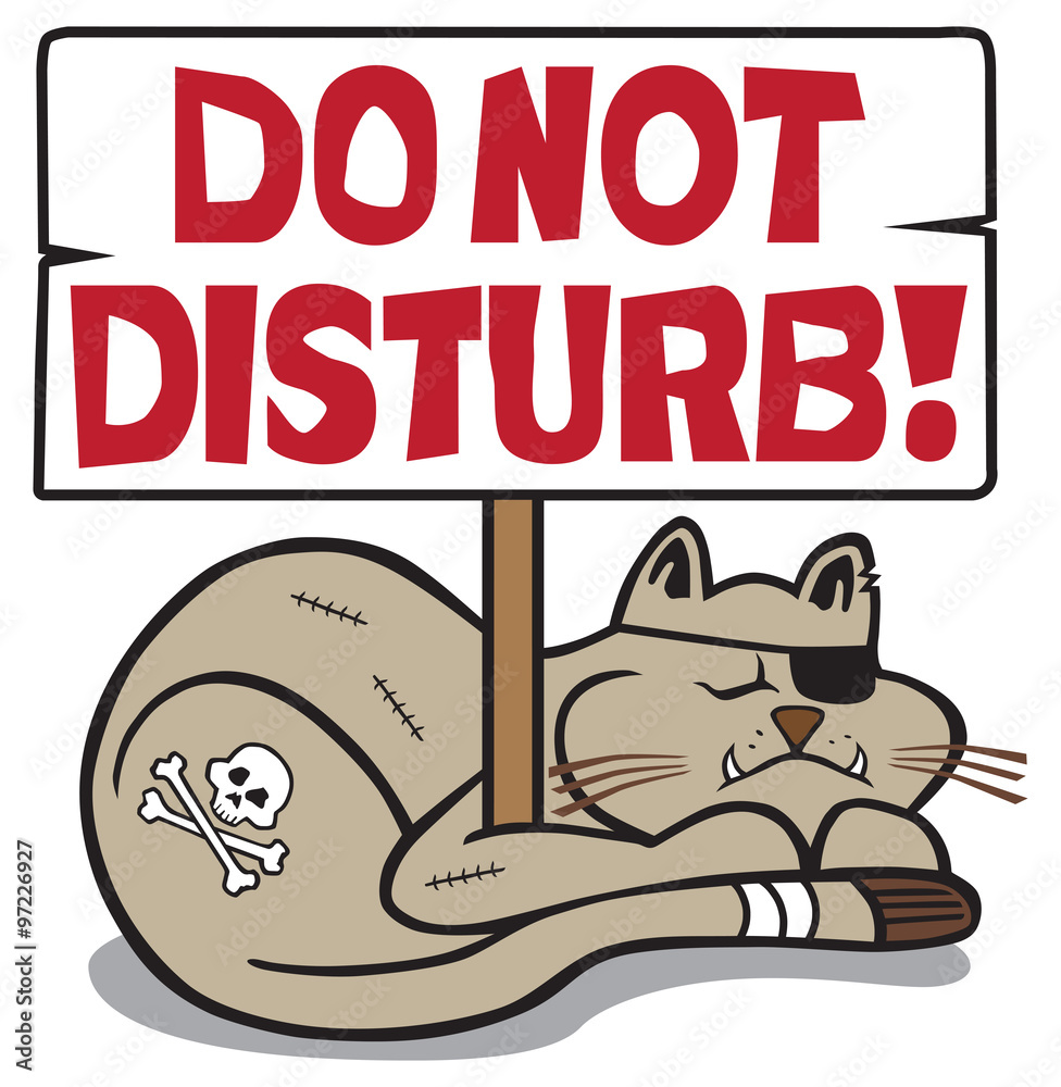 Do Not Disturb Cat Box