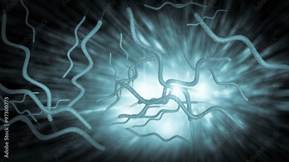 Spirilla Bacteria Stock Illustration | Adobe Stock