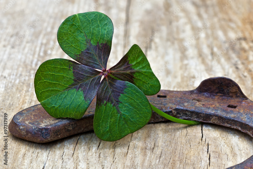 vierblättriges Kleeblatt auf Holz Stock Photo | Adobe Stock
