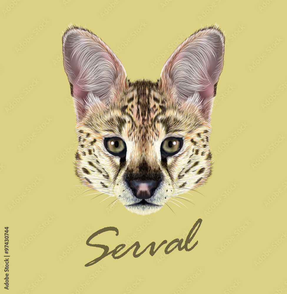 Serval cat wild animal face. Vector cute African savannah serval kitten ...