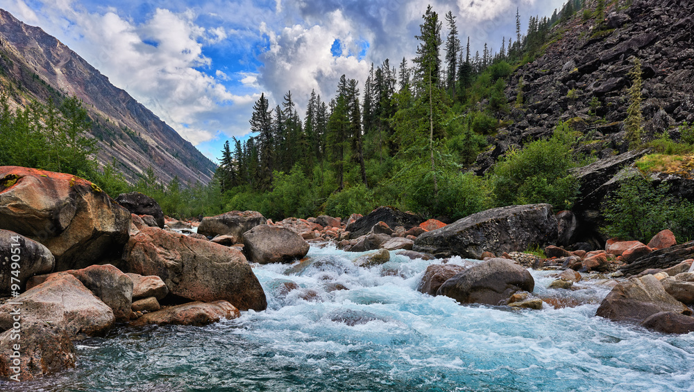 Clean water of a mountain river Stock Photo | Adobe Stock