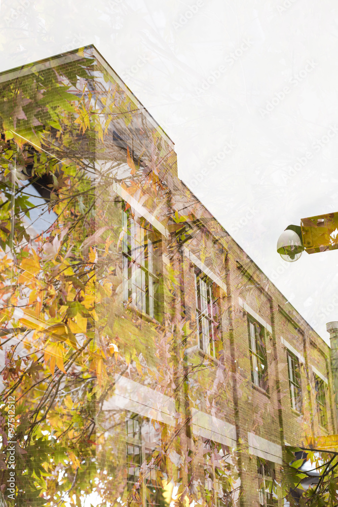 Building Stock Photo | Adobe Stock