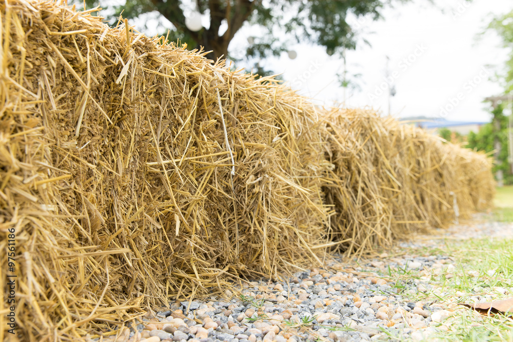 A bunch of straw on the ground. Stock Photo | Adobe Stock
