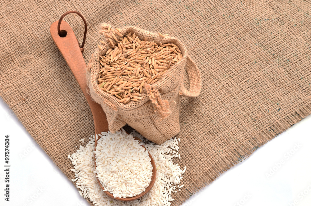 White paddy rice on wooden spoon and hemp sack with brown paddy rice ...