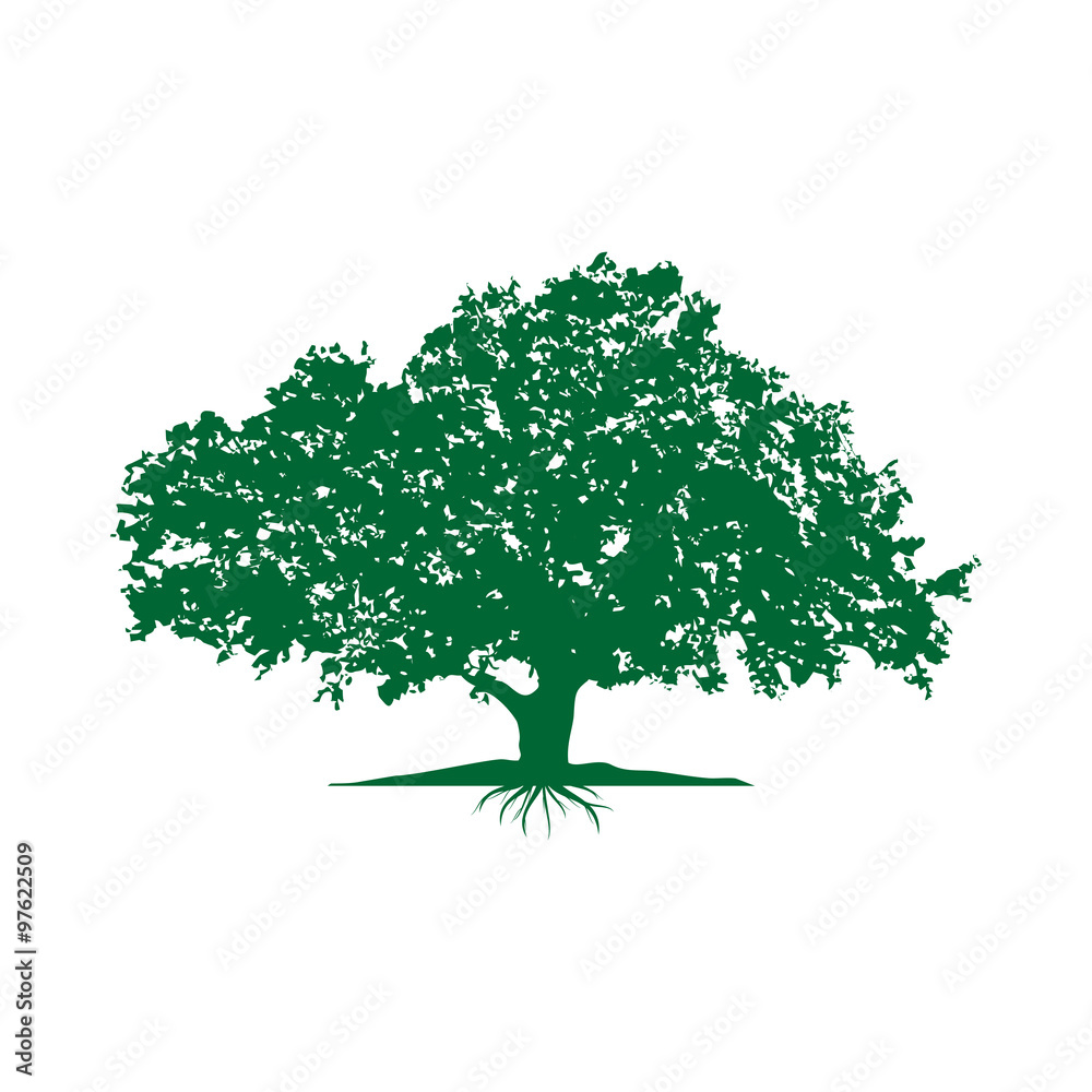 Oak Tree with Roots Stock Vector | Adobe Stock