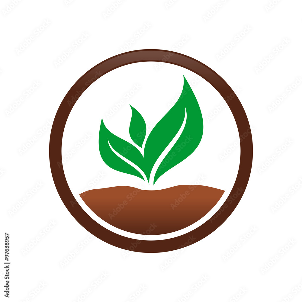 Organic Plant Stock Vector | Adobe Stock