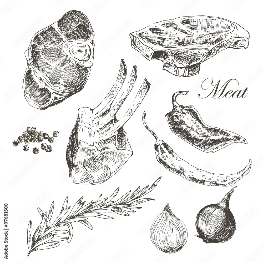 vector steak meat hand drawing with pepper and rosemary. detailed ink ...