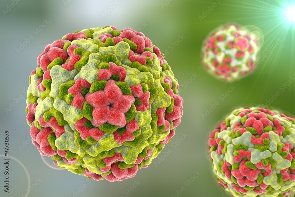 Illustration of Enterovirus D68 which causes respiratory infections in ...