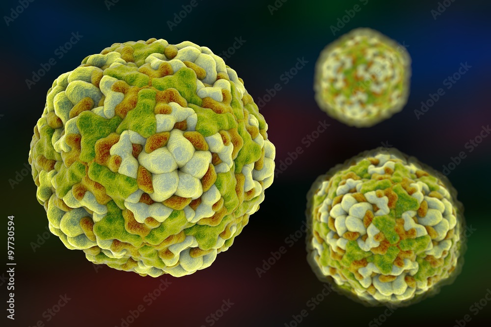 Illustration of Enterovirus D68 which causes respiratory infections in ...