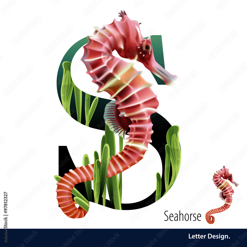 Vector illustration of Letter S is Seahorse alphabet. English Stock ...