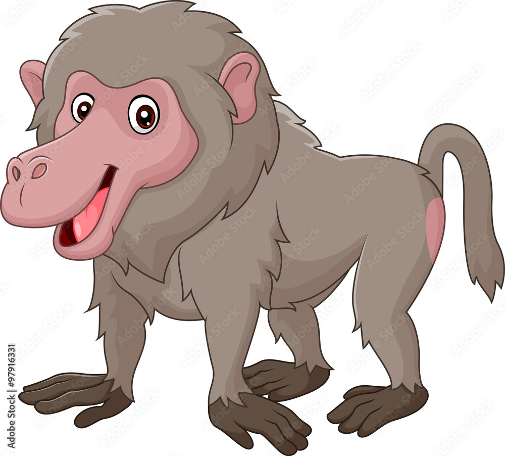 Cartoon funny baboon isolated on white bacjground Stock Vector | Adobe ...
