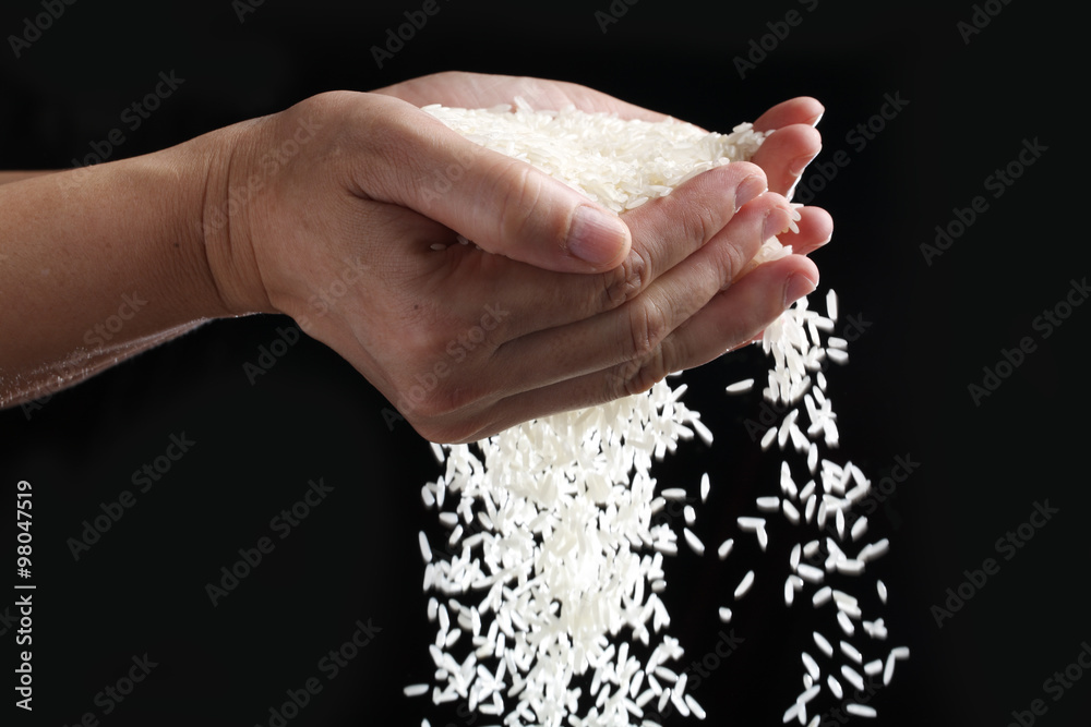 hand holding rice grain isolated on black background. Stock 写真 | Adobe ...