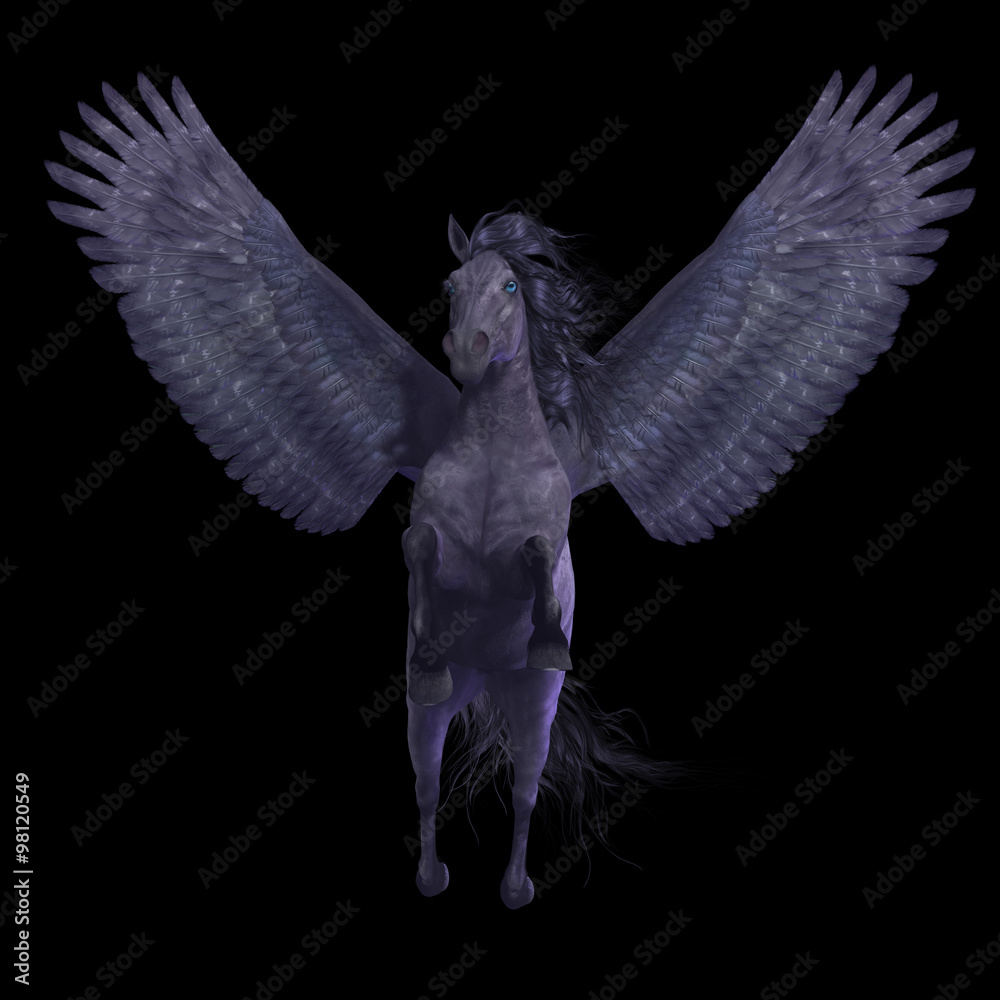 Black Pegasus on Black - Pegasus is a divine mythical creature that has ...