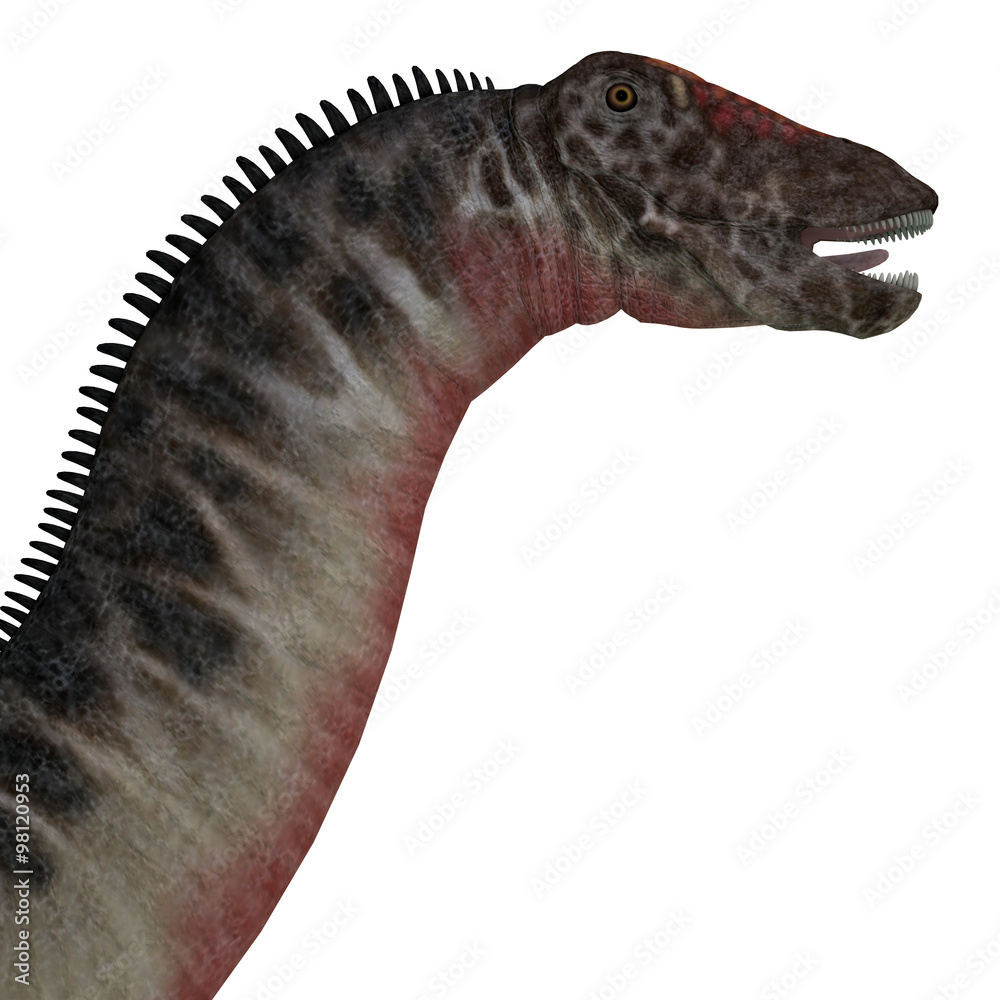 Dicraeosaurus Dinosaur Head - Dicraeosaurus was a sauropod herbivorous ...