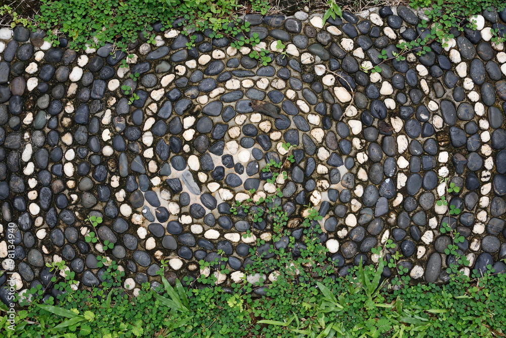 Pebbles mosaic floor with spiral pattern and plant Stock Photo | Adobe ...