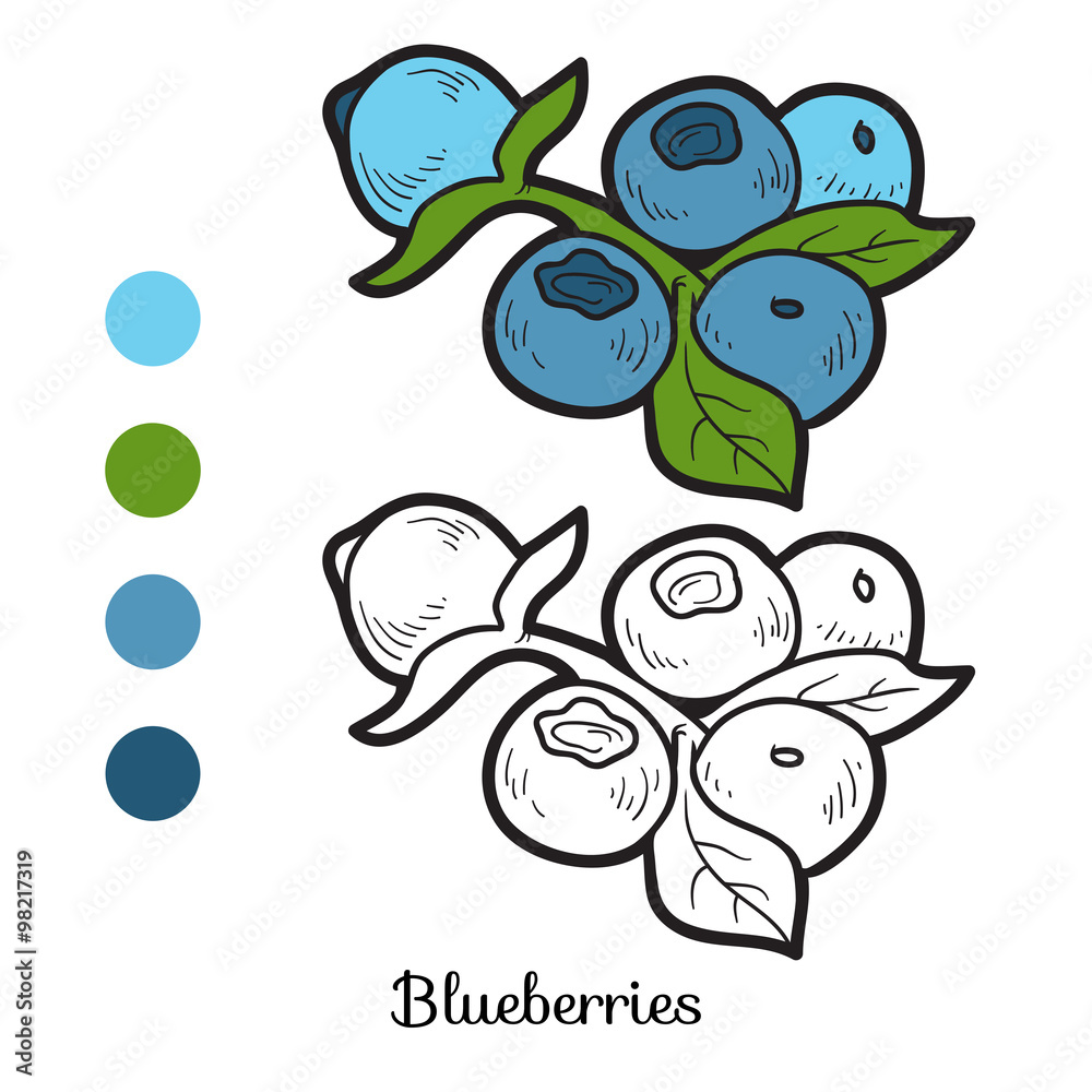 Coloring book: fruits and vegetables (blueberries) Stock Vector | Adobe ...