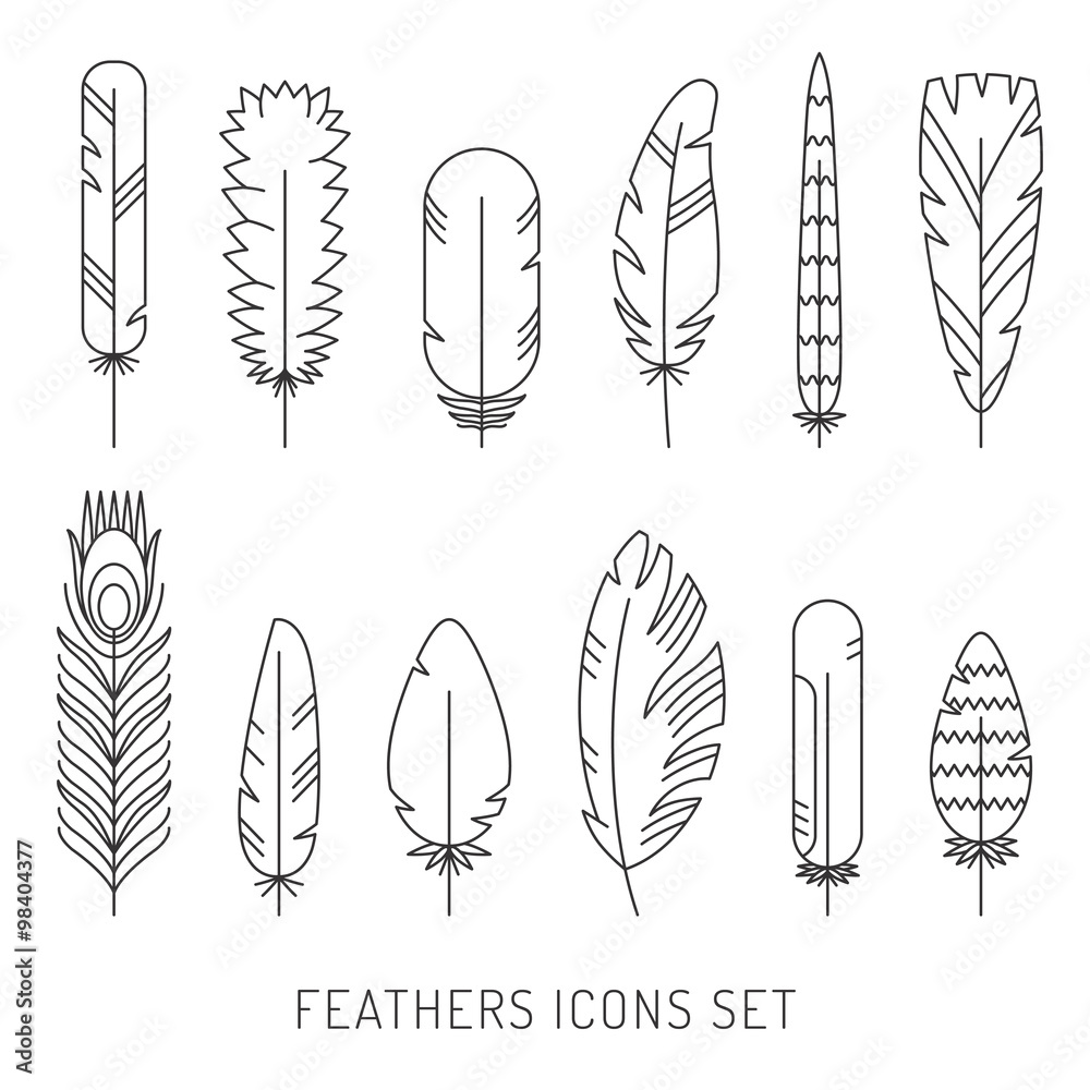 Feathers outline gray icons vector set. Modern minimalistic design ...