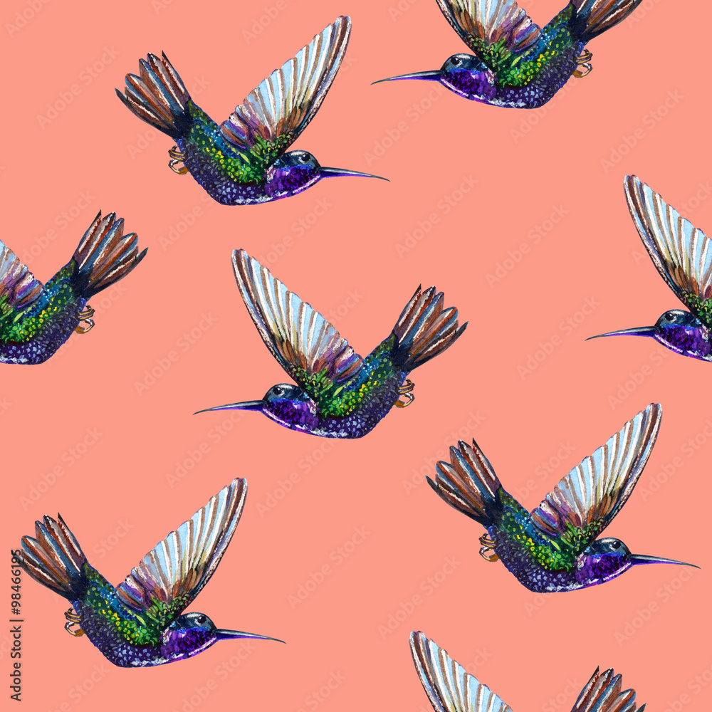 Hovering hummingbirds. Seamless pattern, exotic feathers of tropical ...