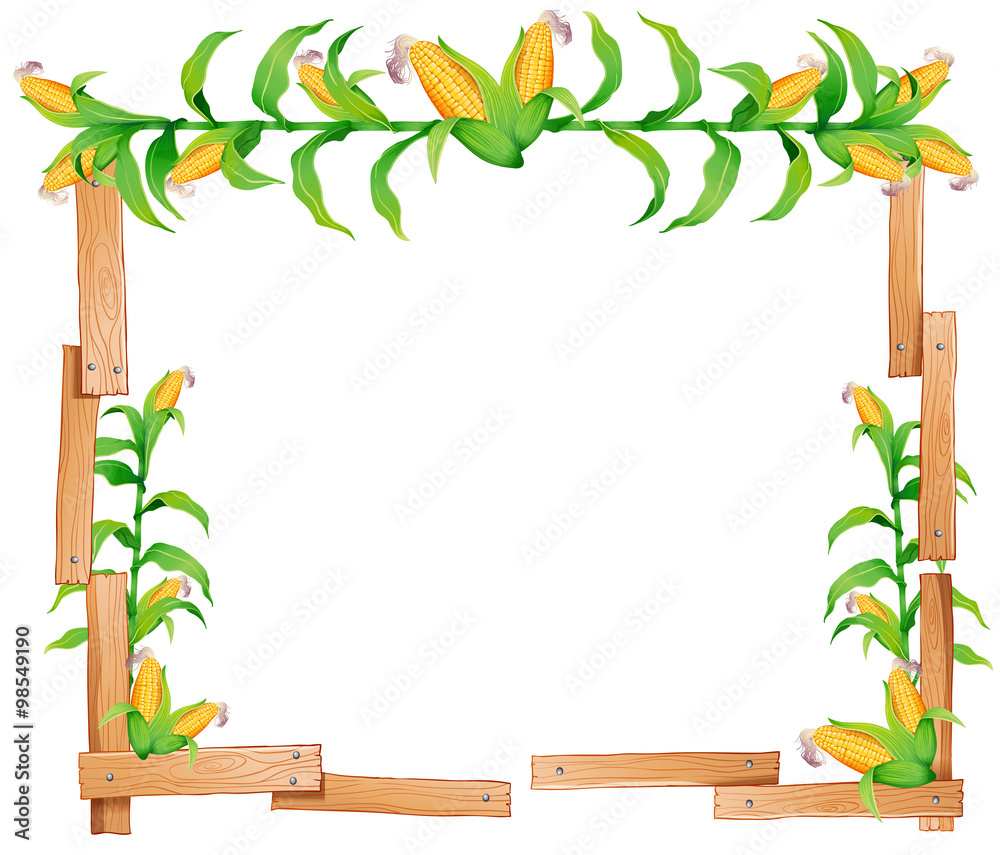 Border design with fresh corn Stock Vector | Adobe Stock