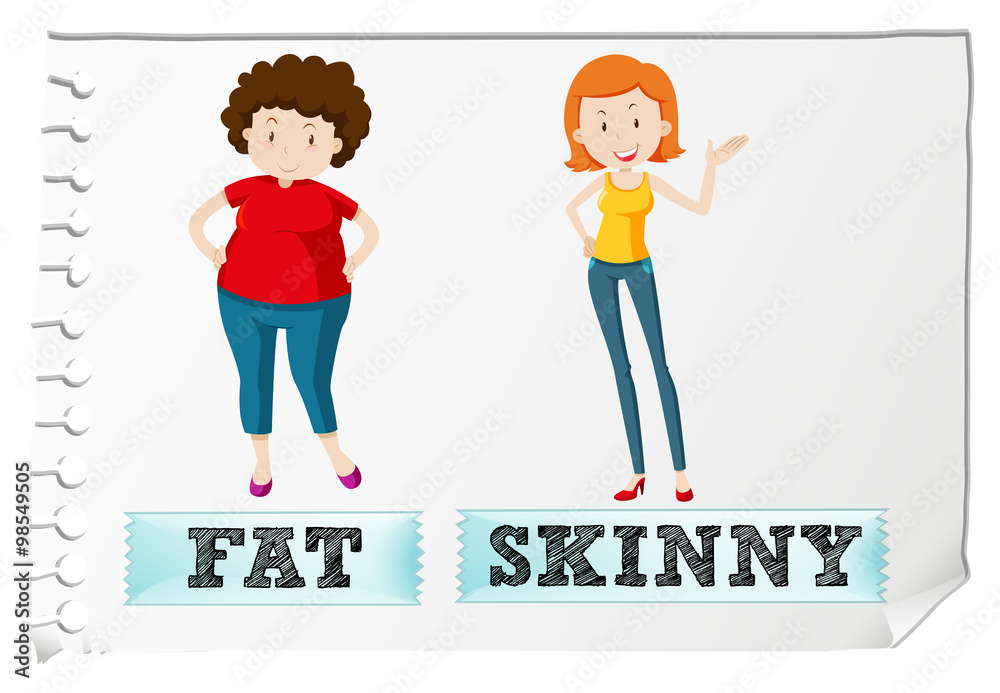 Opposite adjectives fat and skinny Stock Vector | Adobe Stock