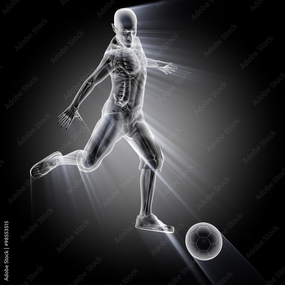 soccer player bones radiography Stock Illustration | Adobe Stock