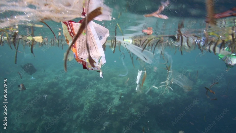 Plastic bags and other trash floating underwater over fragile coral ...