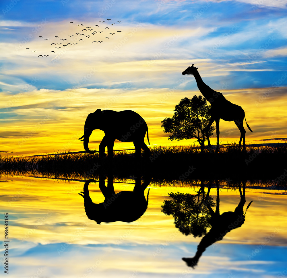 animales salvajes en el paisaje Stock Photo | Adobe Stock