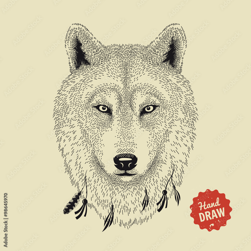 Wolf Front View Drawing
