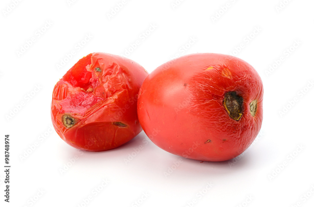 rotten tomato isolated on white background Stock Photo | Adobe Stock