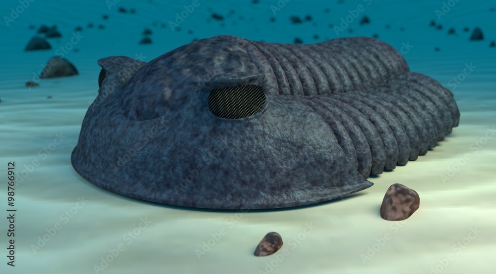 Cambric trilobite render Stock Illustration | Adobe Stock
