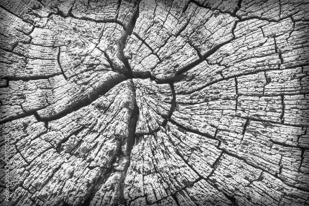Old Timber Railroad Tie, Weathered, Rotten, Cross Section Side Surface ...