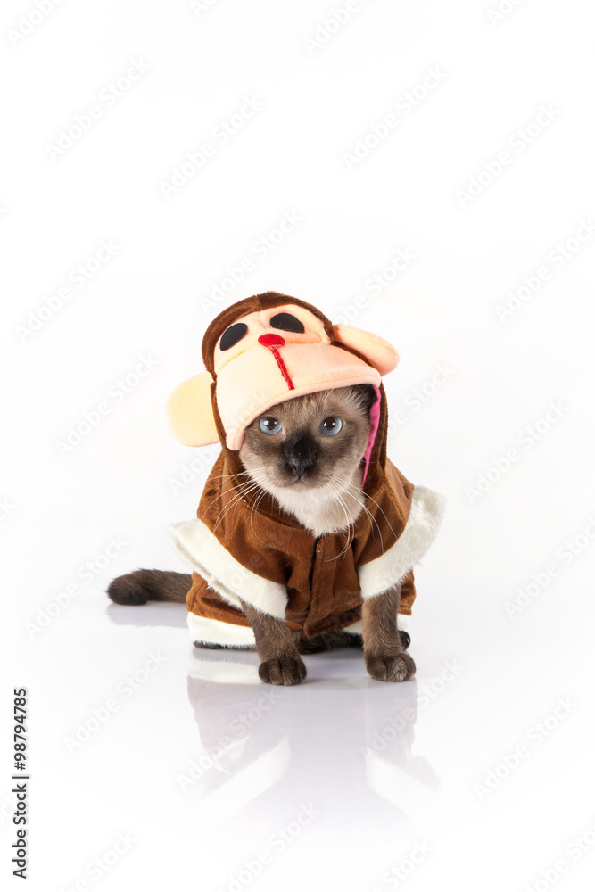 Siamese Cat Costume