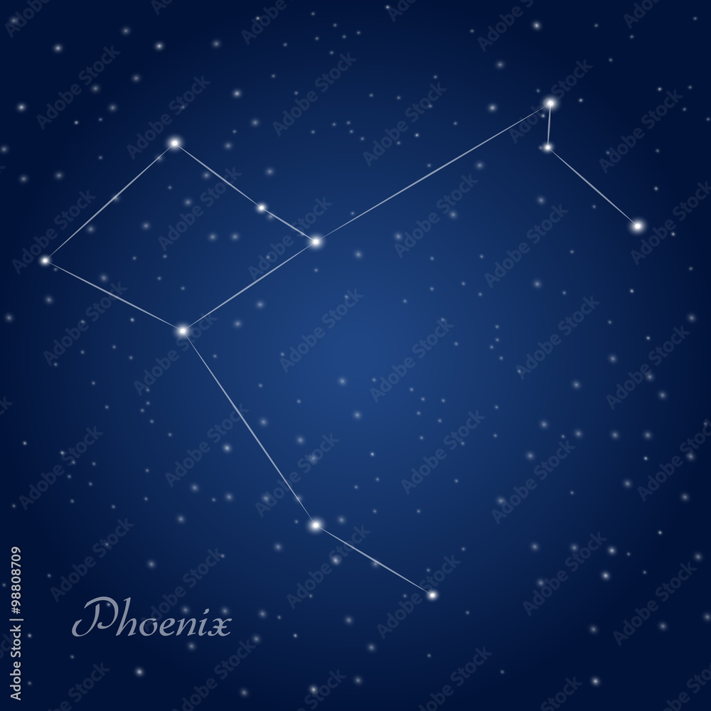 Phoenix constellation at starry night sky Stock Vector | Adobe Stock