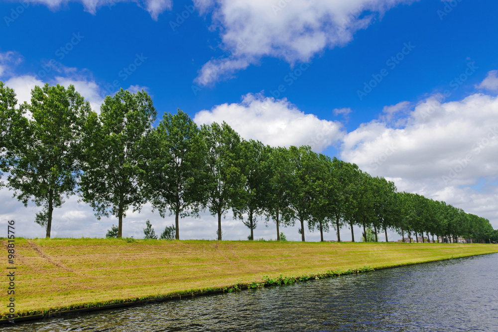Trees on the river dam, which was built along the Maas, Noord-Brabant ...