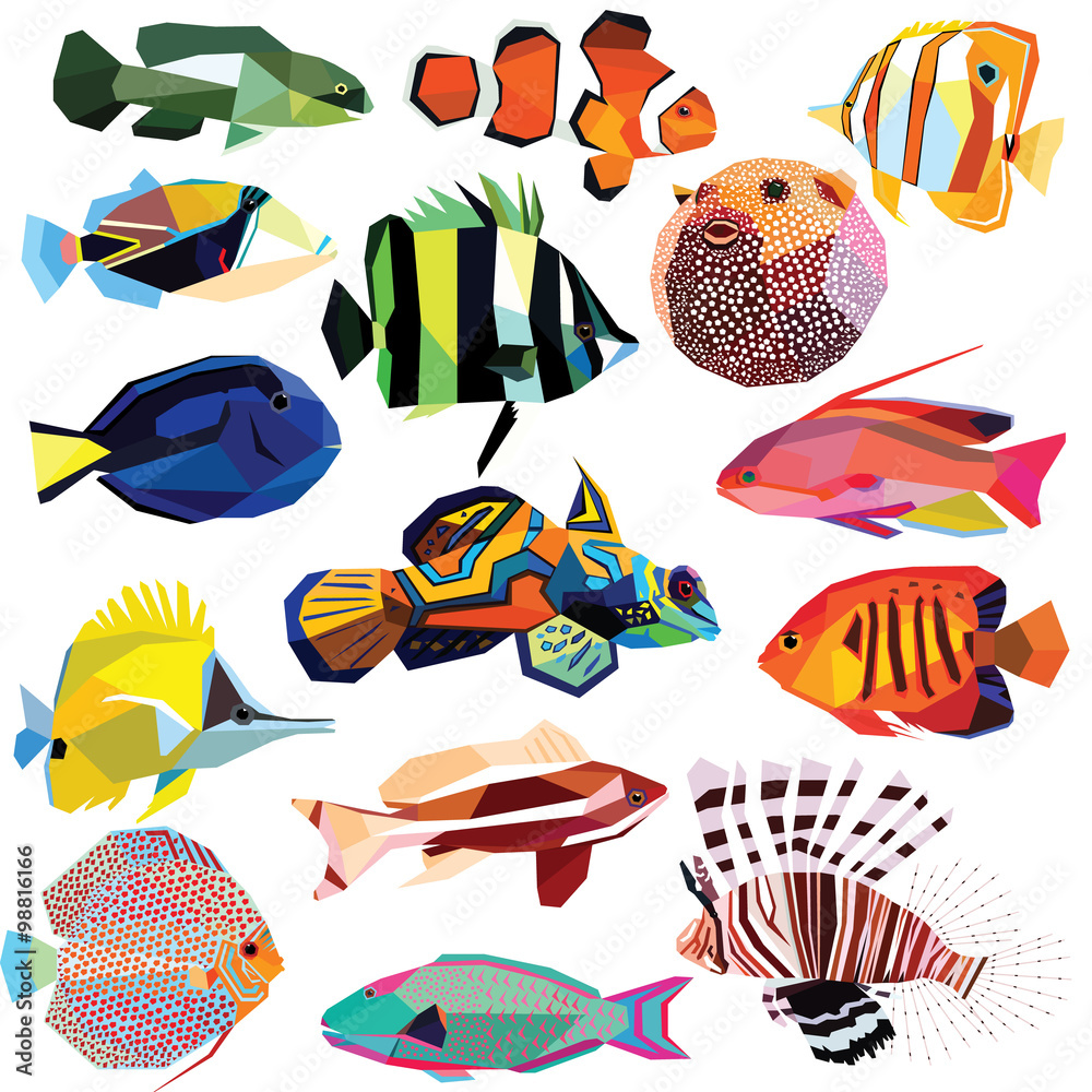 fish-set colorful fish low poly design isolated on white background ...