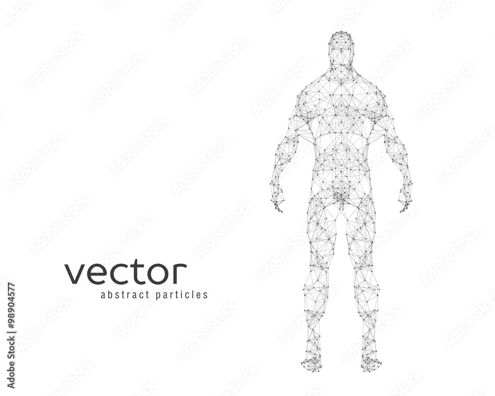 Vector illustration of human body Stock Vector | Adobe Stock