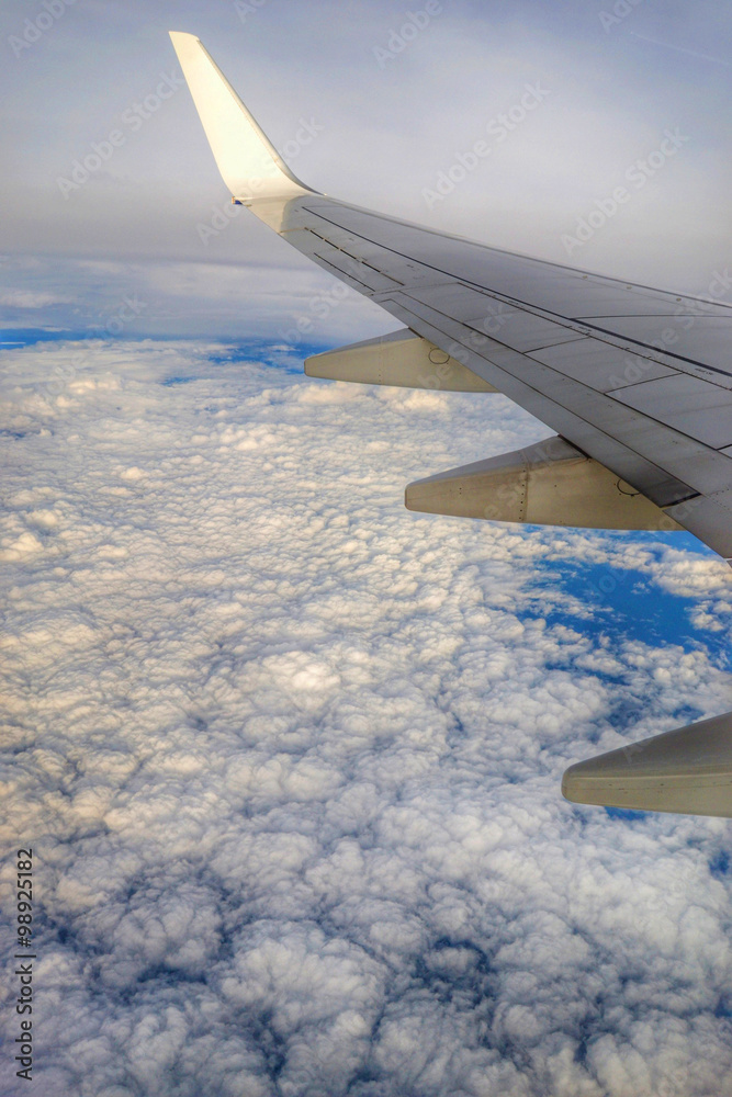 Foto Stock Ala Aereo | Adobe Stock