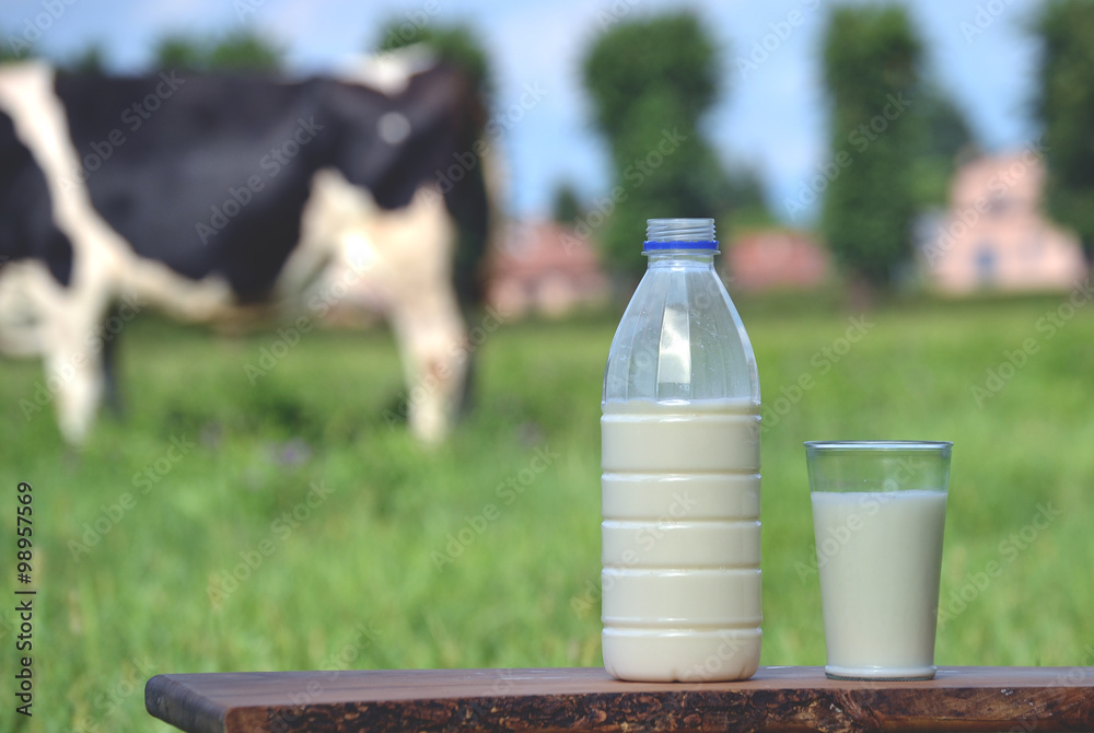 Productos lacteos en ambiente natural y vaca de fondo. Leche al natural ...