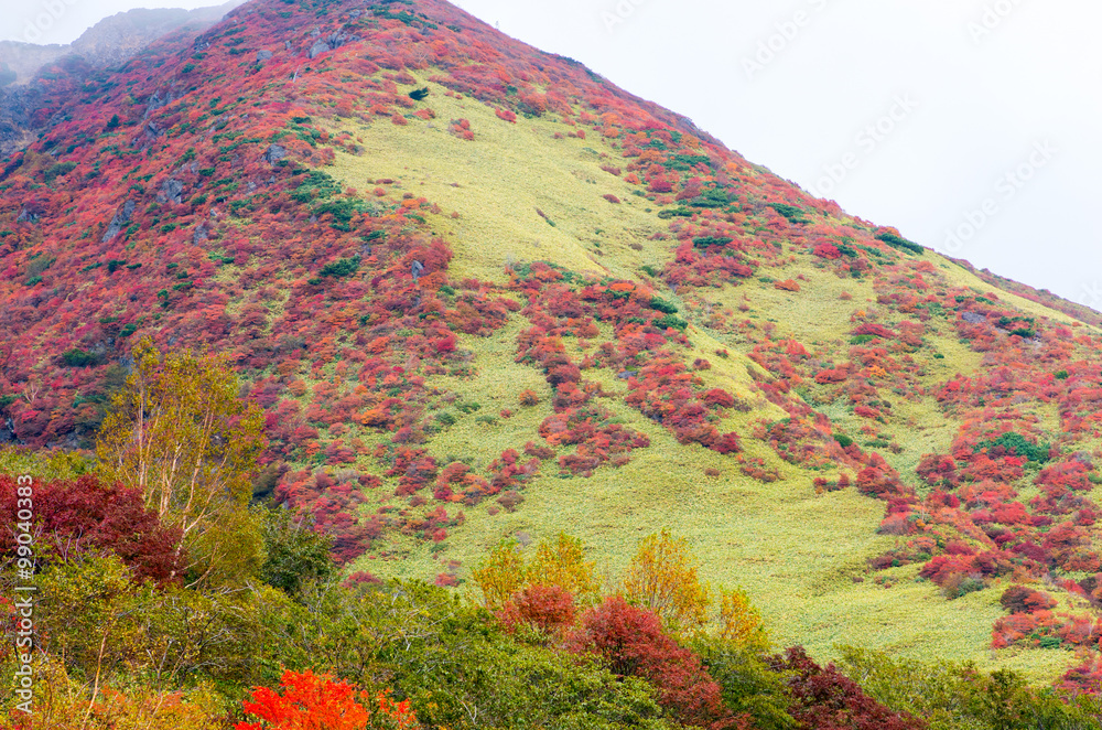 Mt.Nasu,tochigi,tourism of japan autumn Stock Photo | Adobe Stock
